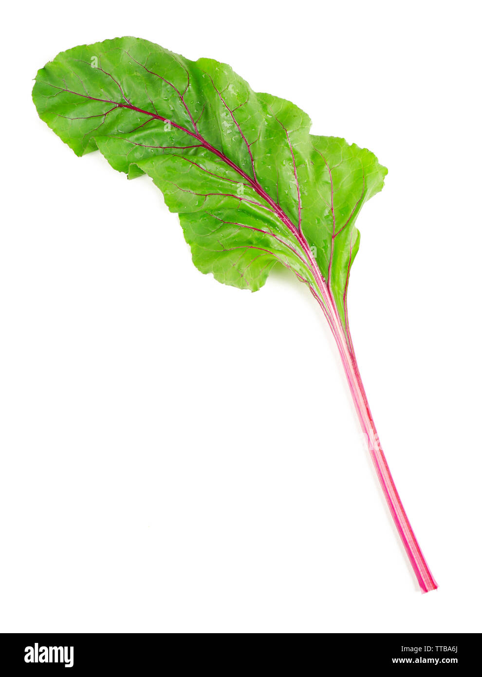 Fresh swiss chard, isolated on white Stock Photo - Alamy