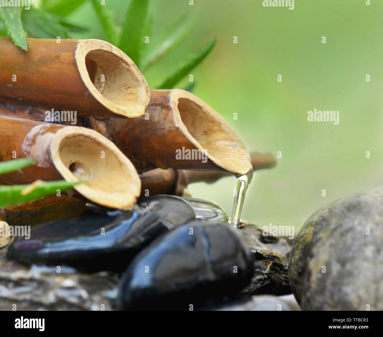 close on a bamboo fountain with water flowing on black stones on green ...
