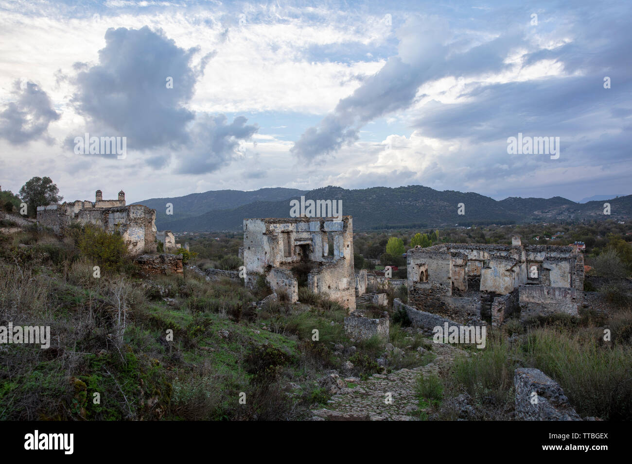 Lebessis hi-res stock photography and images - Alamy