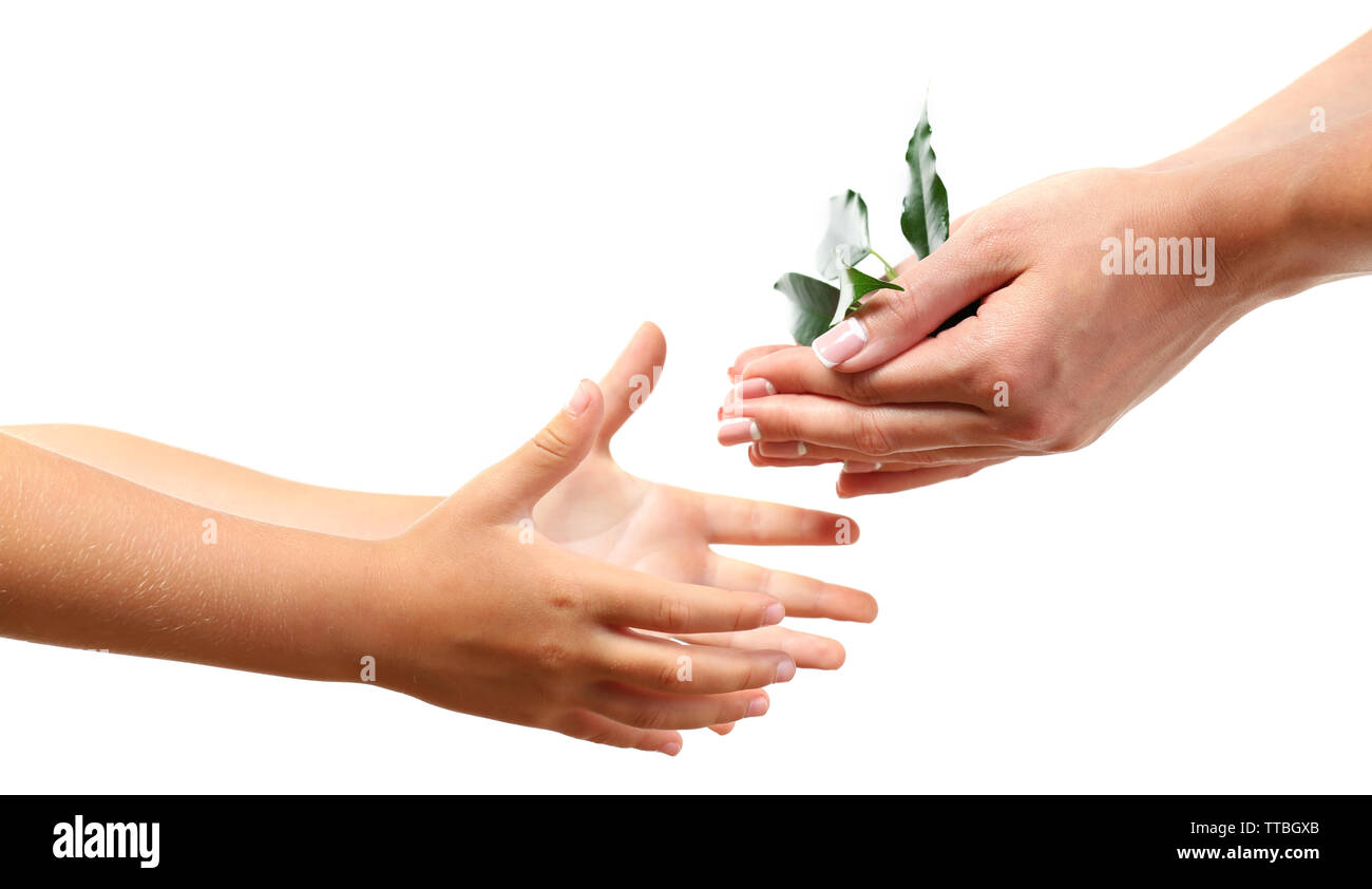 Female and child handfuls with soil and small green plant isolated on ...