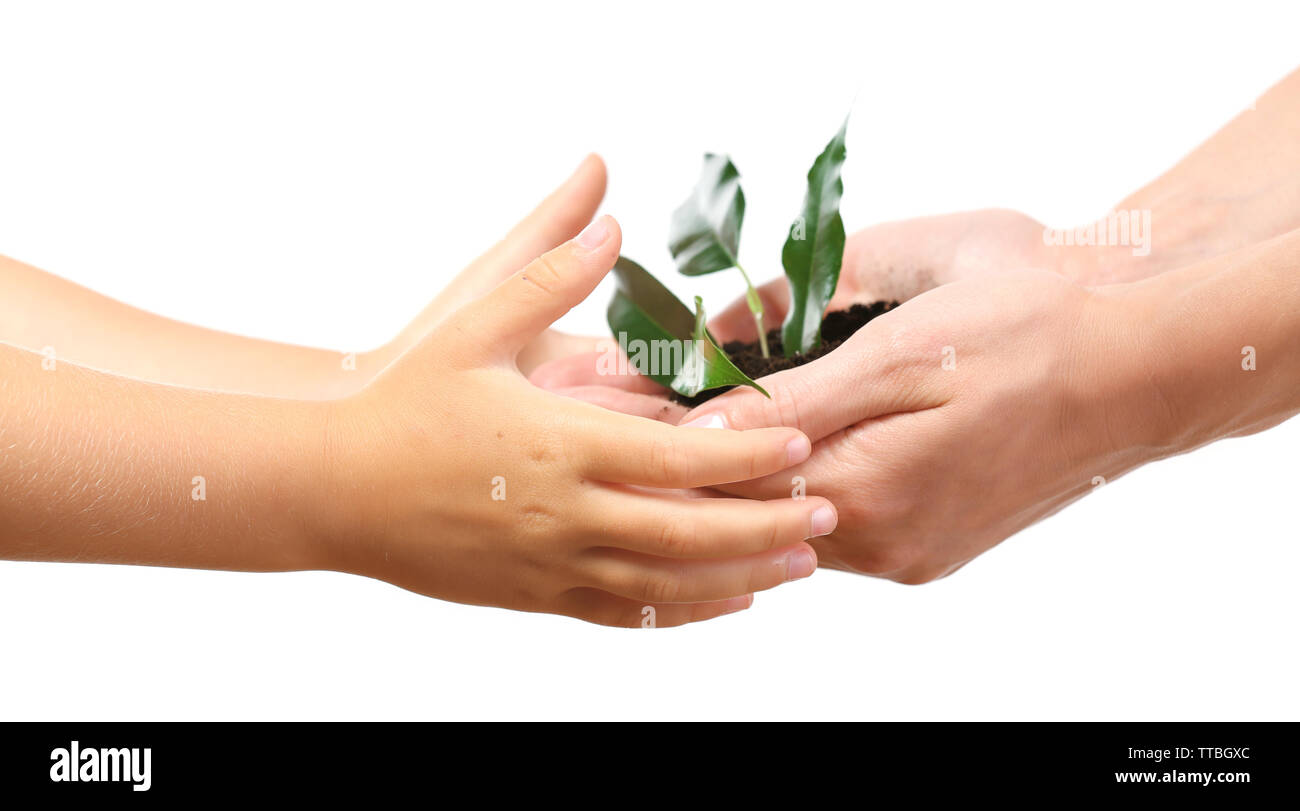 Female and child handfuls with soil and small green plant isolated on ...