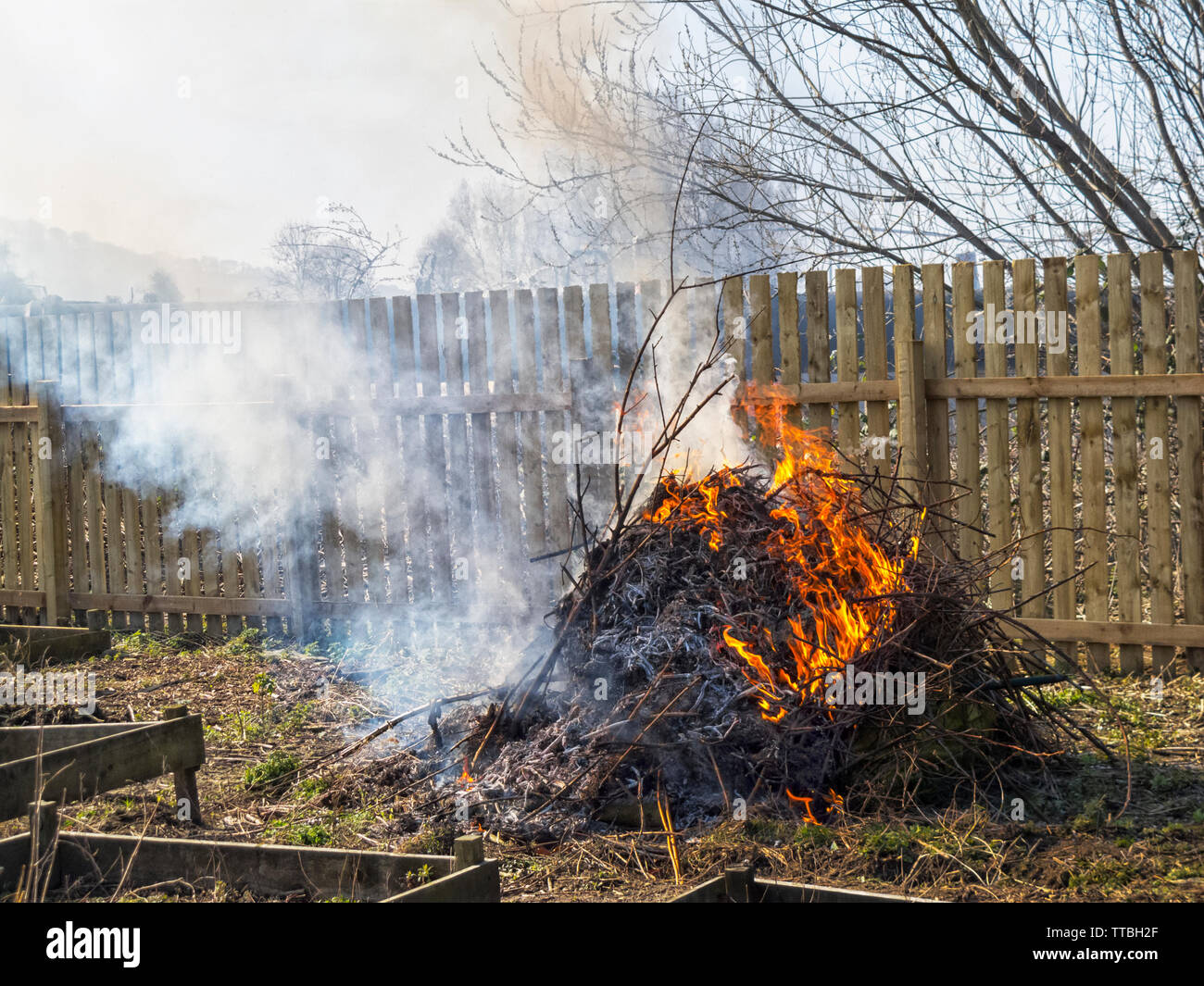 An allotment garden fire after pruning and clearing weeds in early ...