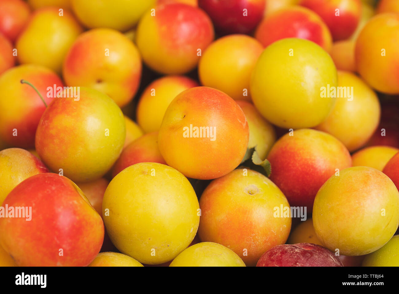 Cherry plums yellow color leaves hi-res stock photography and images ...