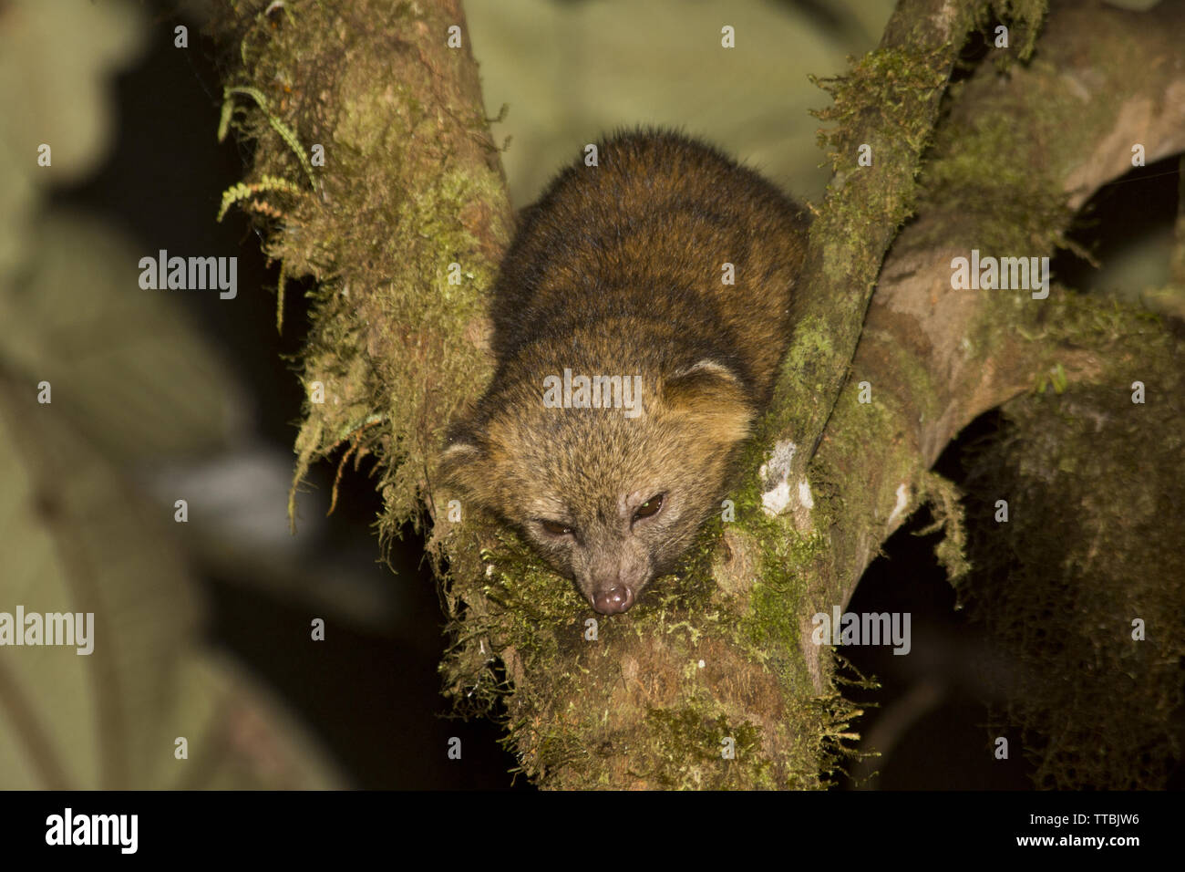 Kleinbar hi-res stock photography and images - Alamy