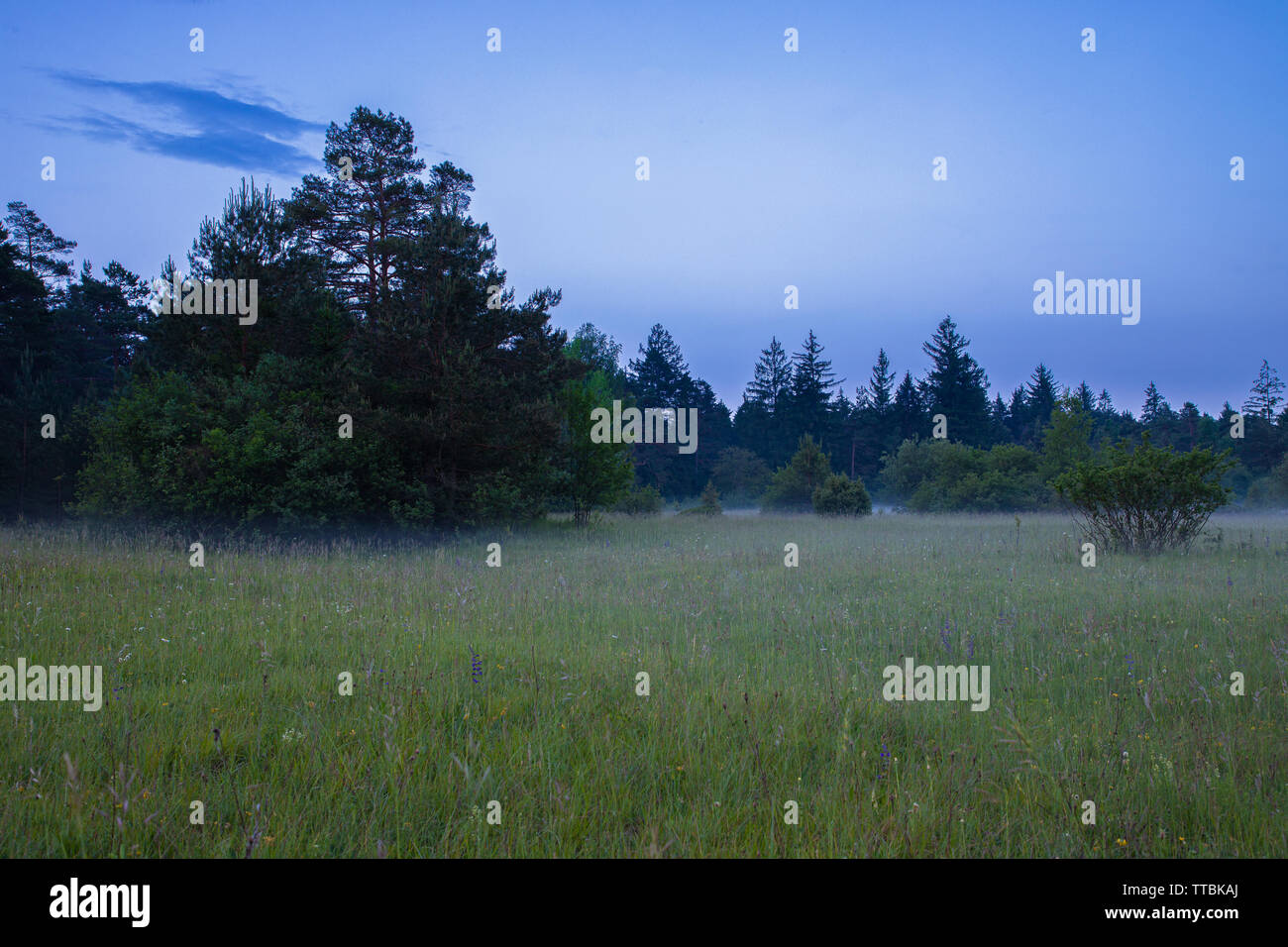 Heie hi-res stock photography and images - Alamy