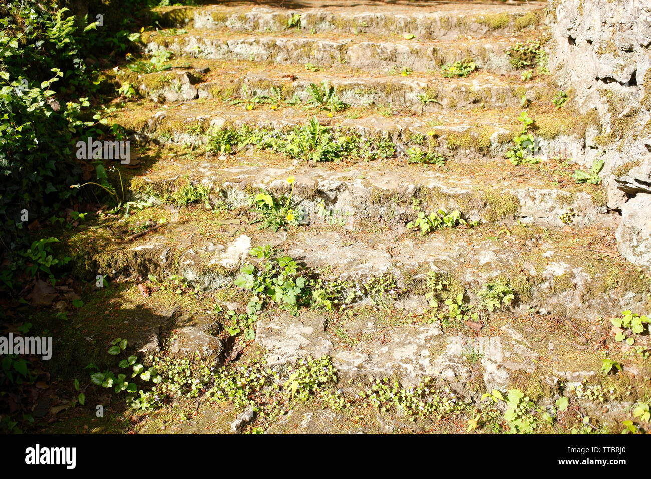 Old stone stairs, steps, stones Stock Photo - Alamy