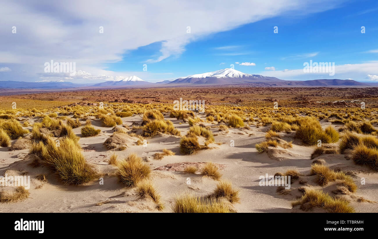 Andean plateau hi-res stock photography and images - Alamy