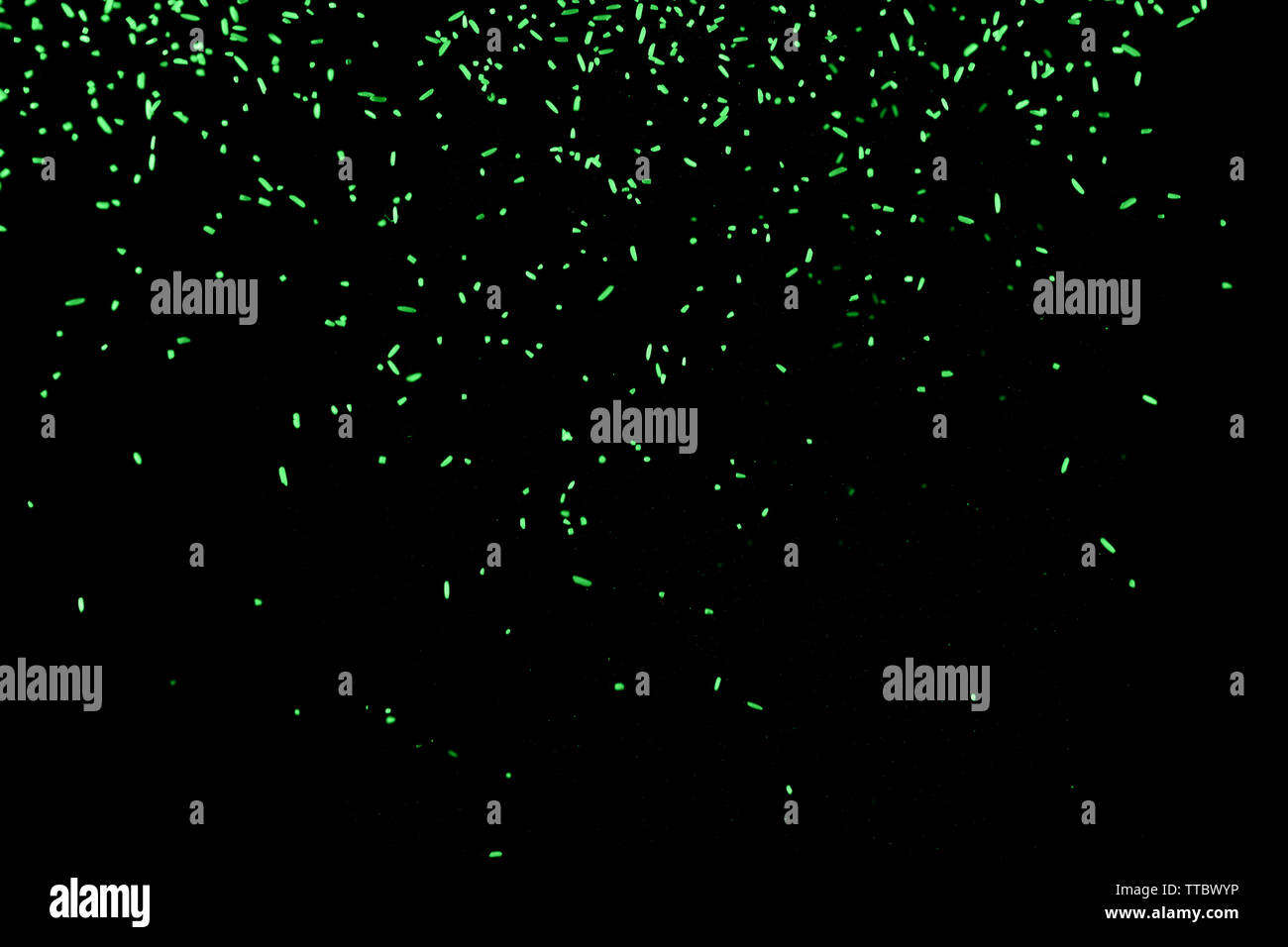 Green falling particles round shape on black backround Stock Photo - Alamy