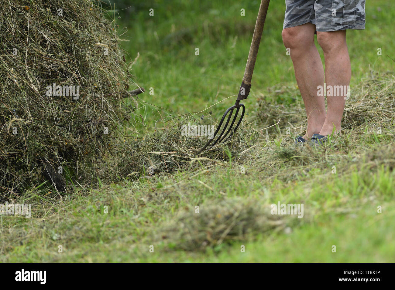 Stacking Hay High Resolution Stock Photography and Images - Alamy