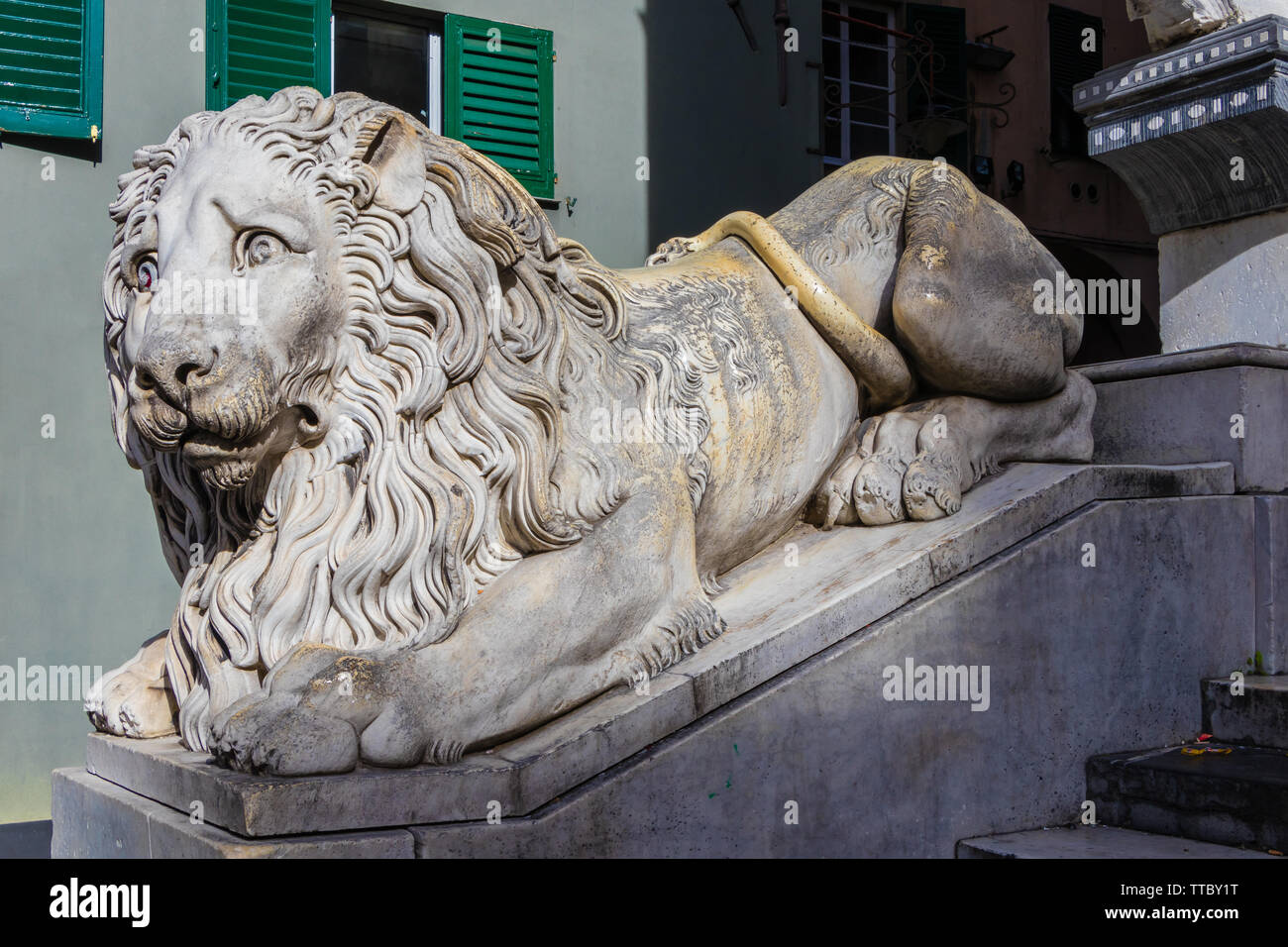 Crying lion hi-res stock photography and images - Alamy