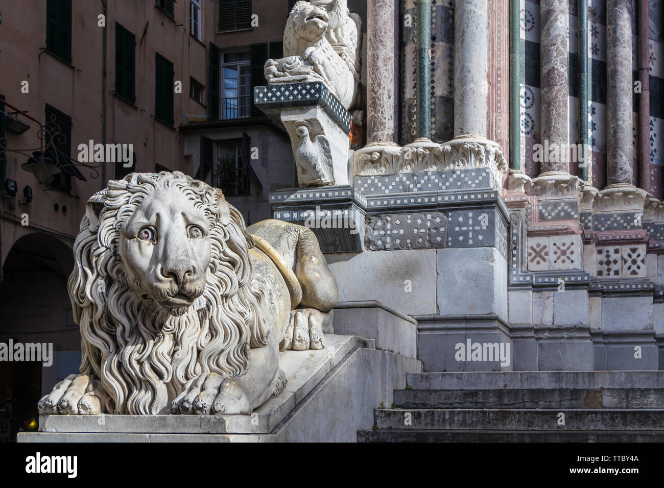 Lion crying hi-res stock photography and images - Alamy