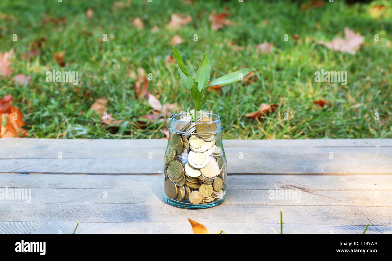 Plant growing in coins outside Stock Photo - Alamy