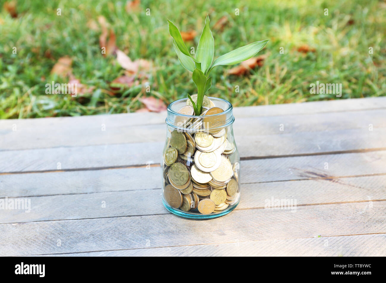 Plant growing in coins outside Stock Photo - Alamy