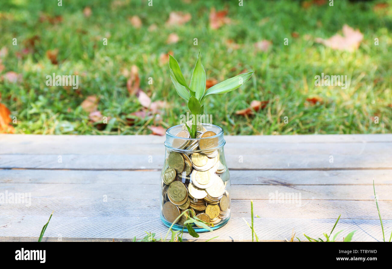 Plant growing in coins outside Stock Photo - Alamy