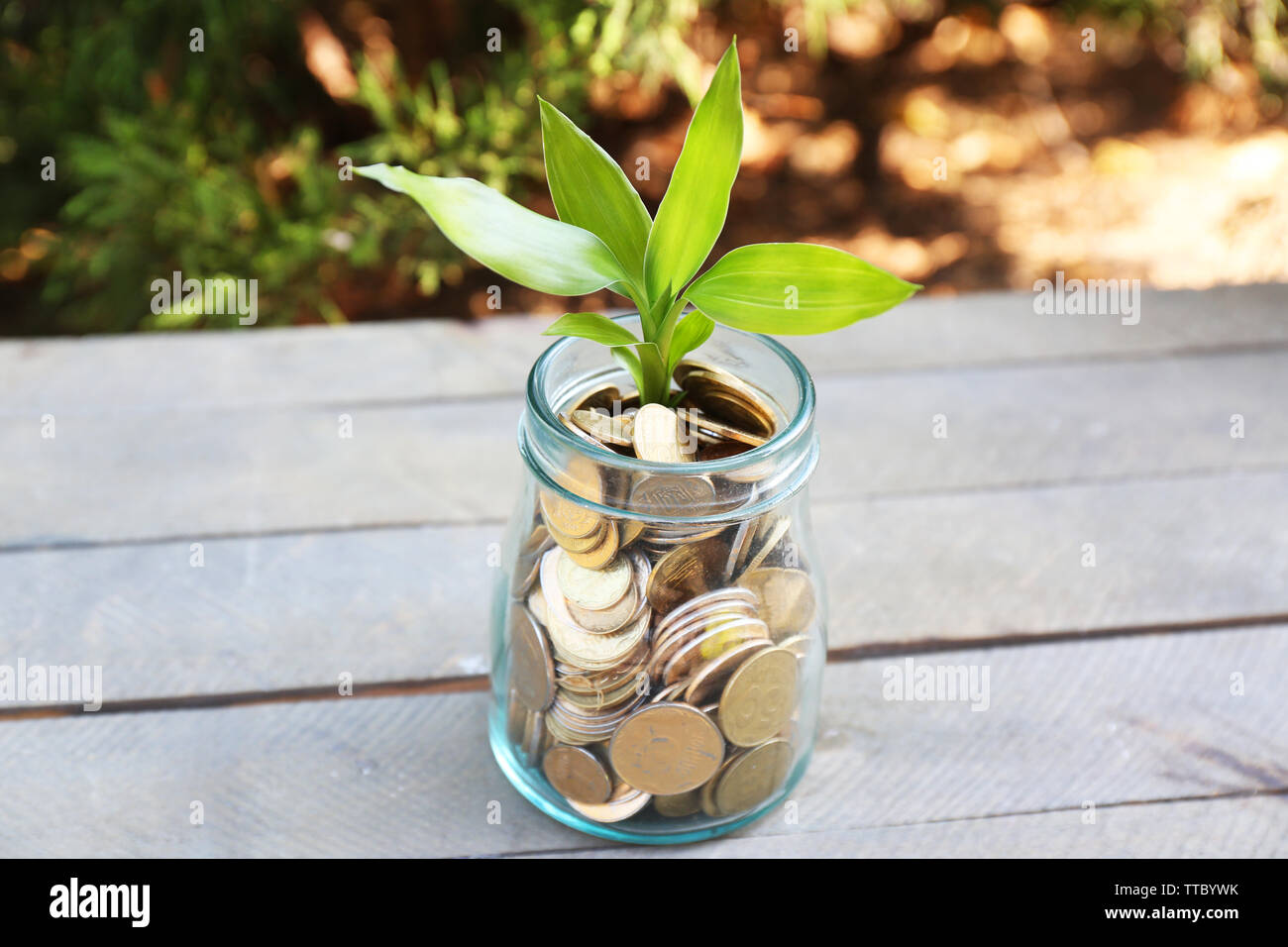 Plant growing in coins outside Stock Photo - Alamy