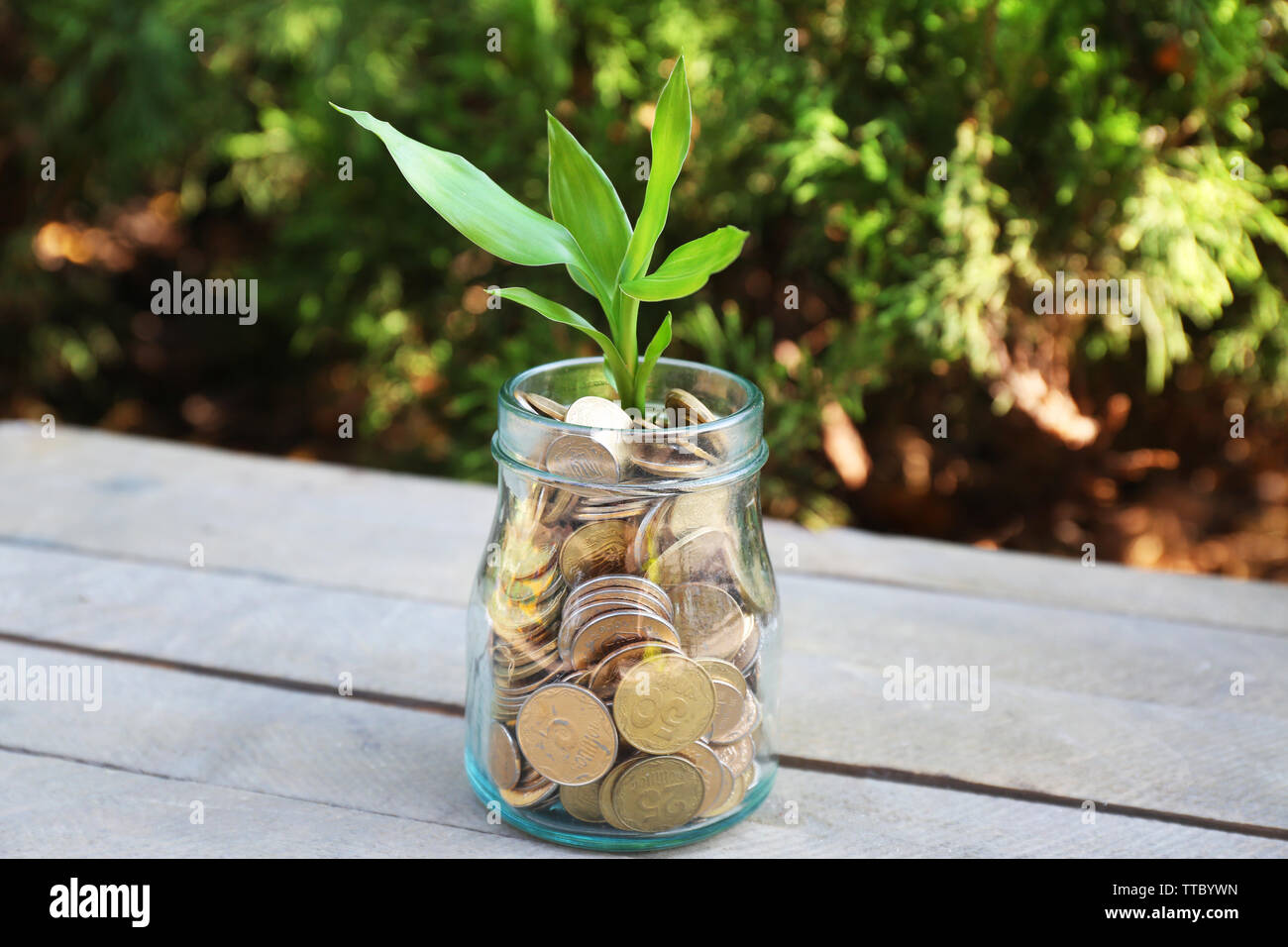 Plant growing in coins outside Stock Photo - Alamy
