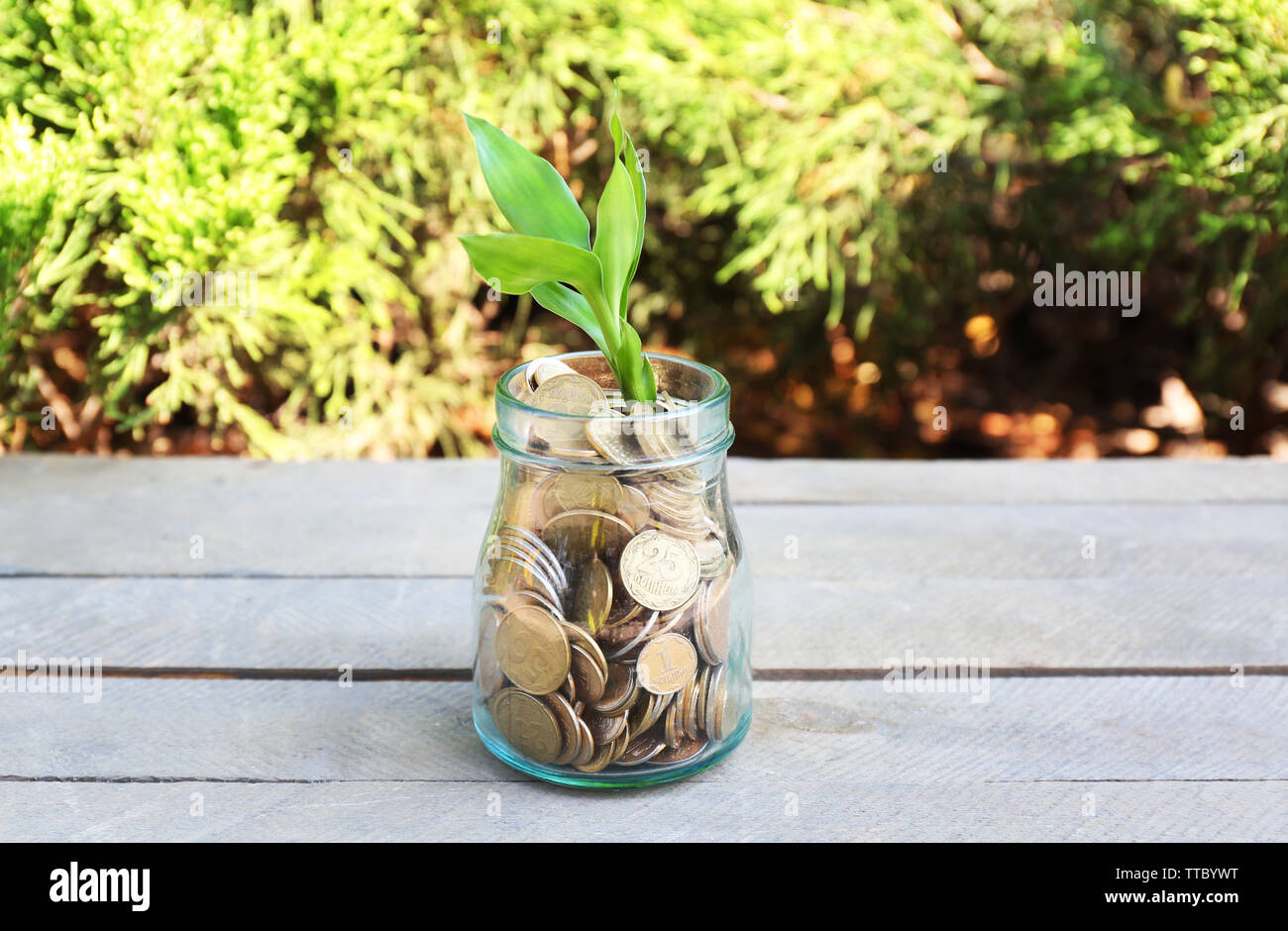 Plant growing in coins outside Stock Photo - Alamy