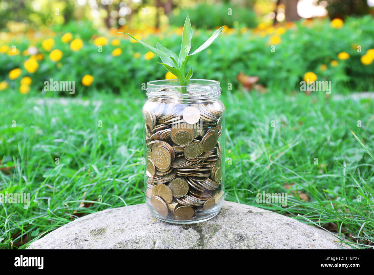 Growing flowers and coins hi-res stock photography and images - Alamy
