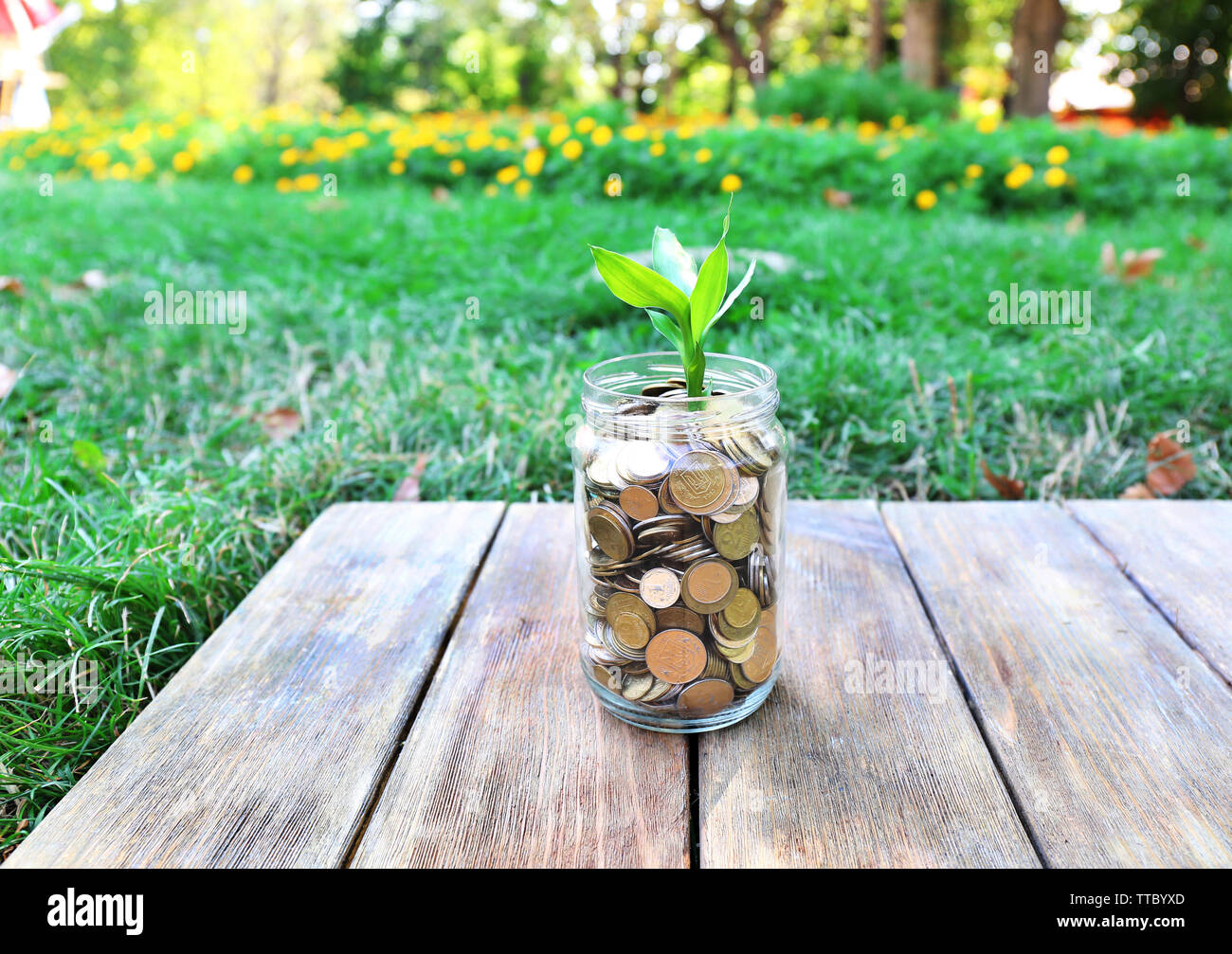 Plant growing in coins outside Stock Photo - Alamy