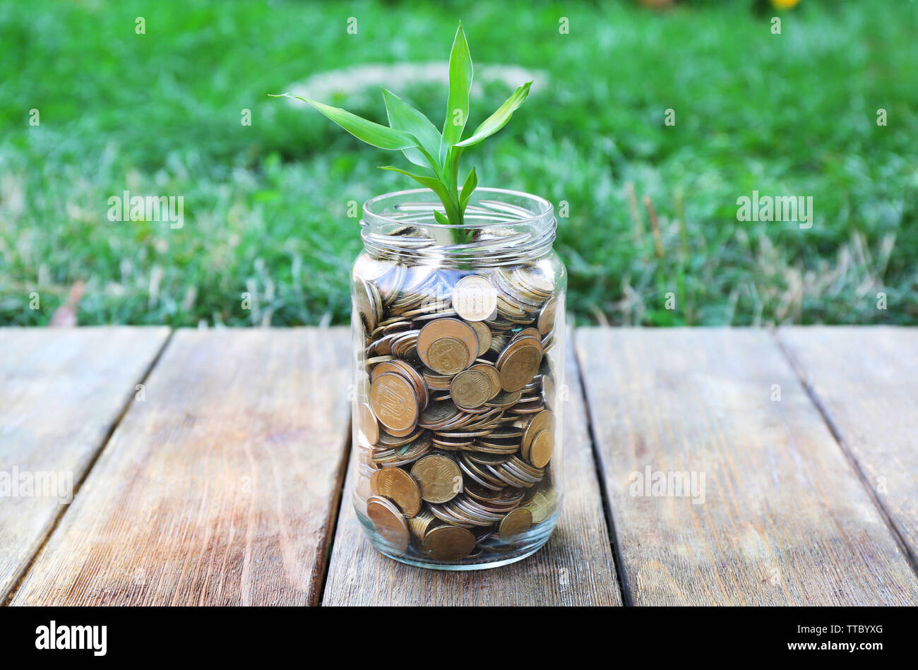Plant growing in coins outside Stock Photo - Alamy