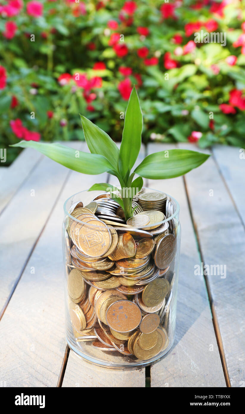 Plant growing in coins outside Stock Photo - Alamy