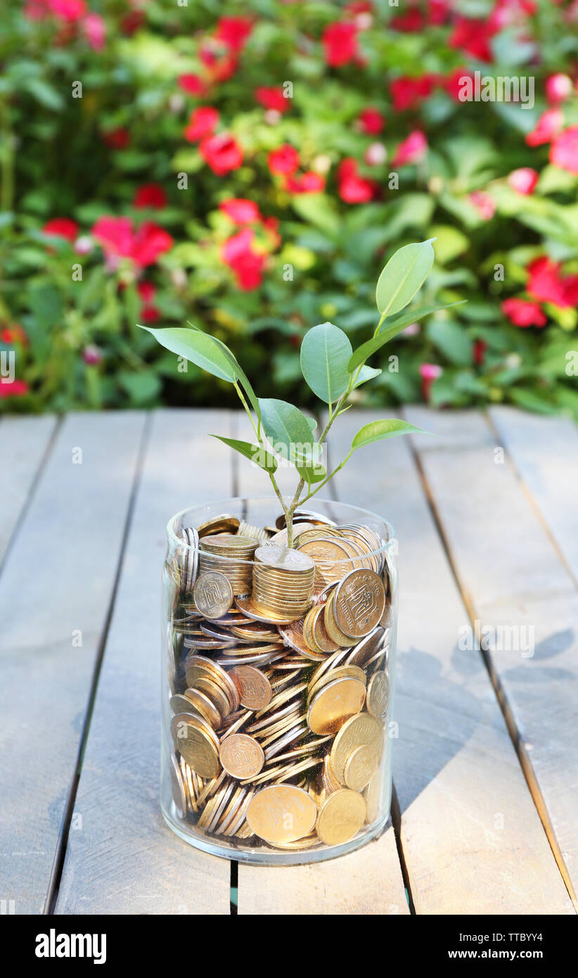 Plant growing in coins outside Stock Photo - Alamy