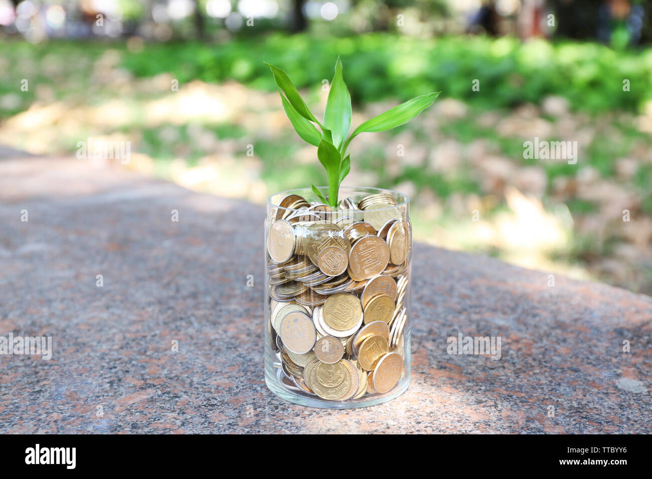 Plant growing in coins outside Stock Photo - Alamy