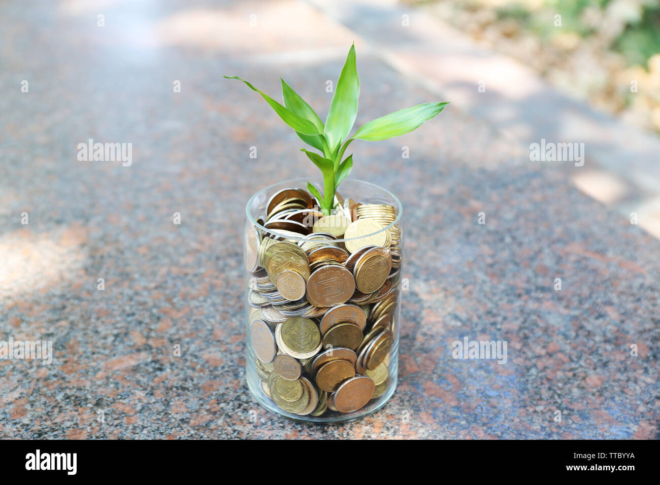 Plant growing in coins outside Stock Photo - Alamy