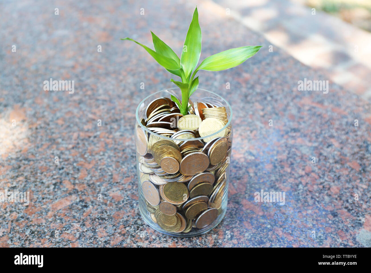 Plant growing in coins outside Stock Photo - Alamy