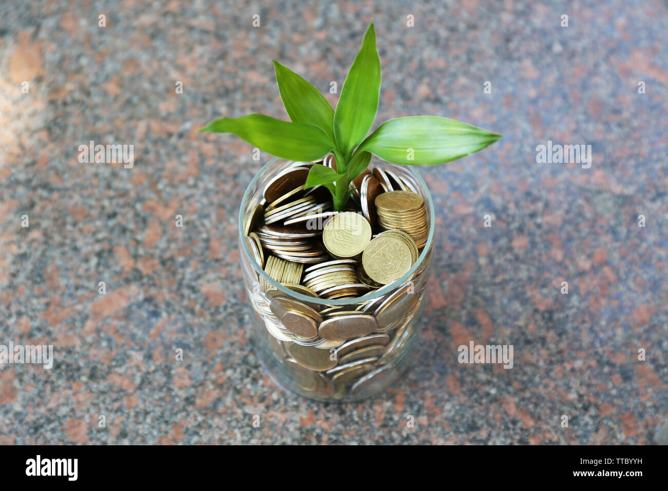 Plant growing in coins outside Stock Photo - Alamy