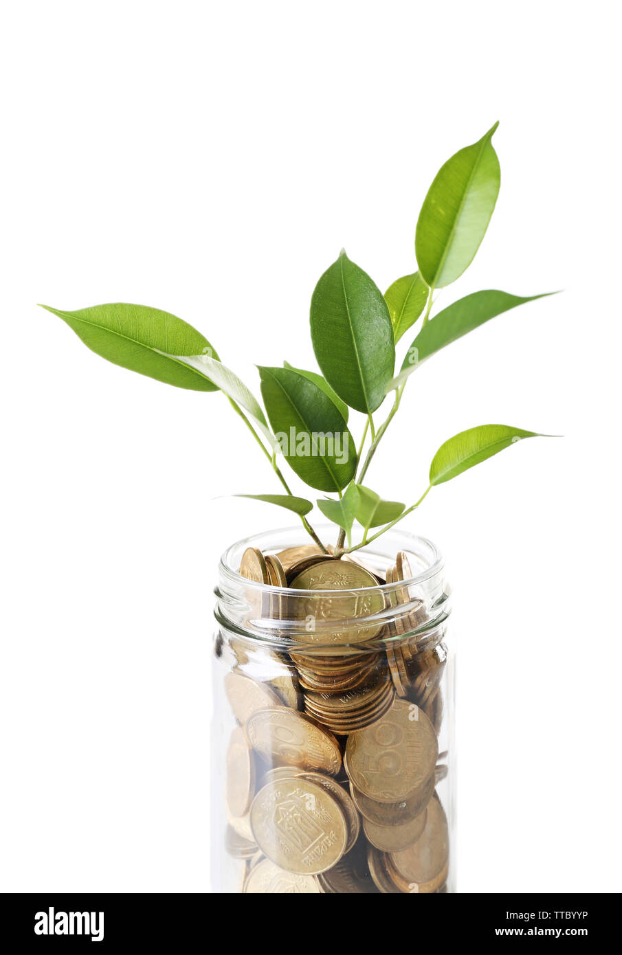 Plant growing in coins isolated on white Stock Photo - Alamy