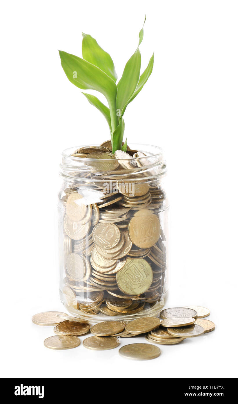 Plant growing in coins isolated on white Stock Photo - Alamy