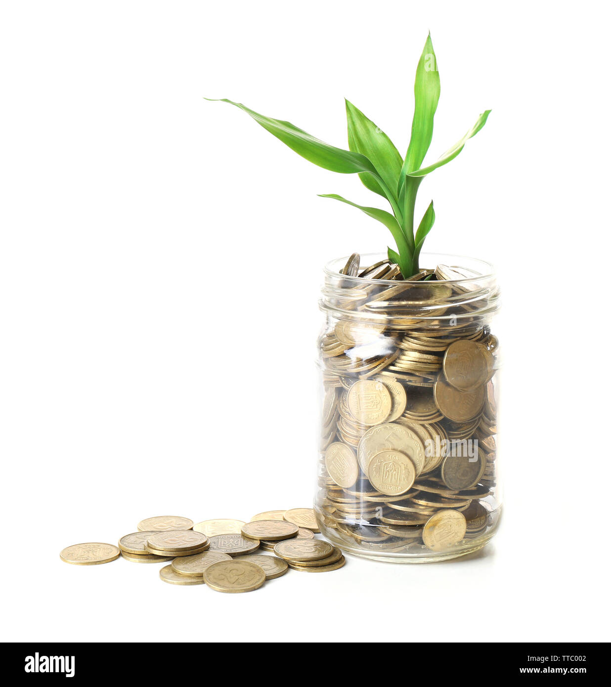 Plant growing in coins isolated on white Stock Photo - Alamy