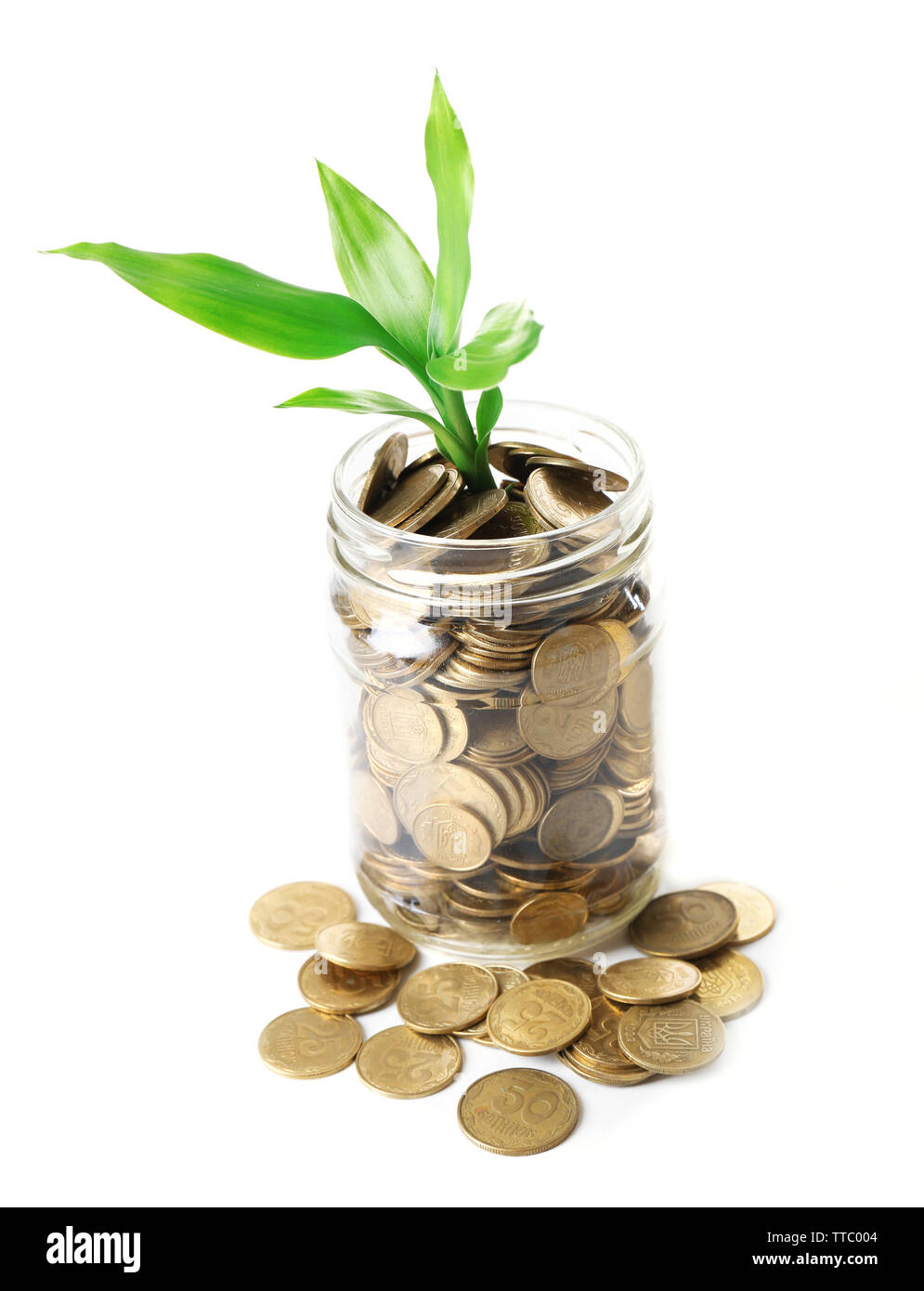 Seedling in coins Cut Out Stock Images & Pictures - Alamy