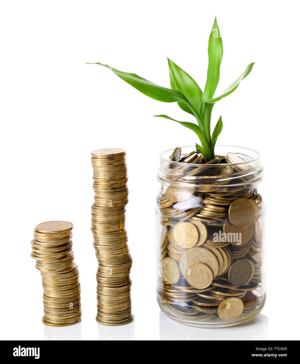 Plant growing in coins isolated on white Stock Photo - Alamy