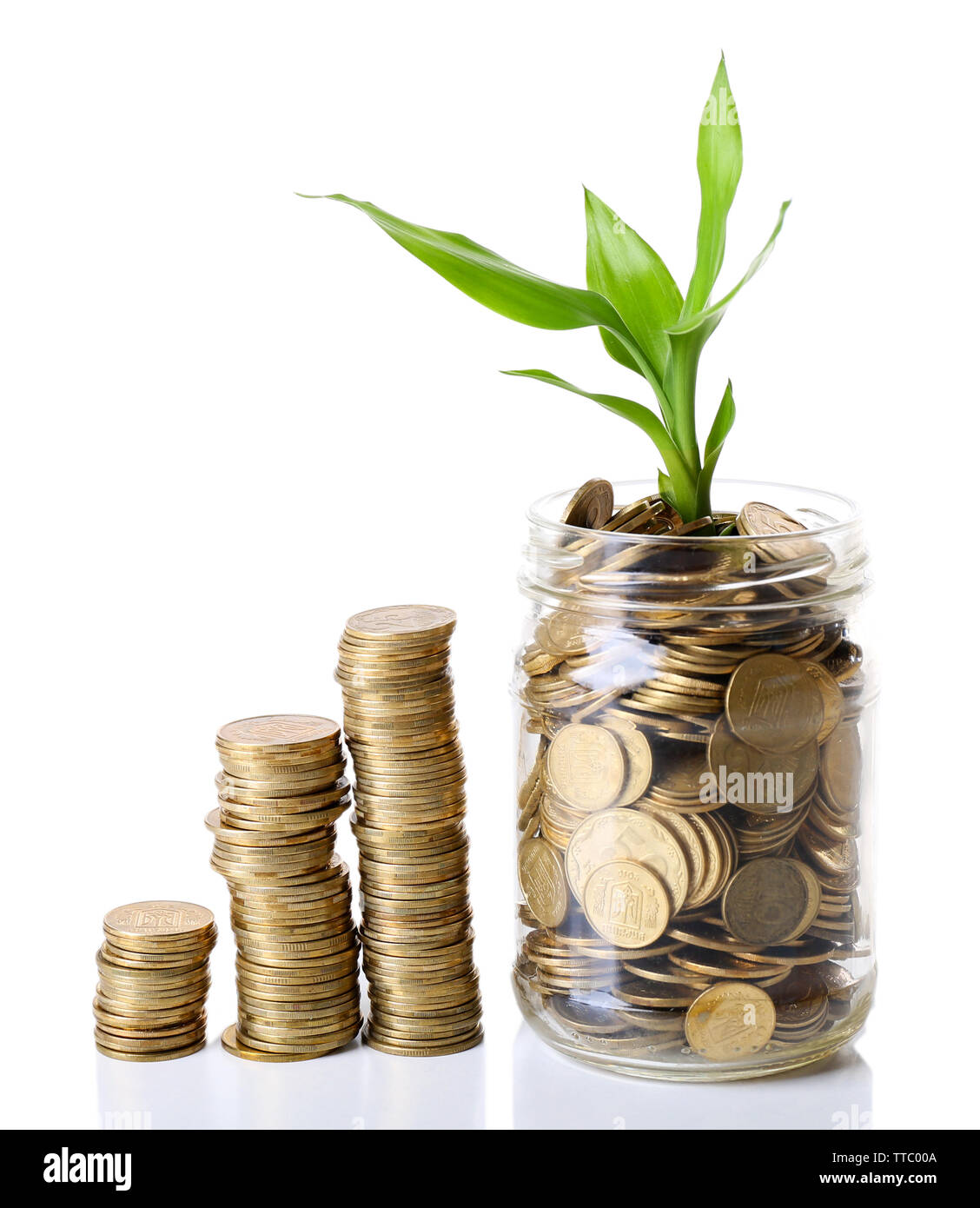 Plant growing in coins isolated on white Stock Photo - Alamy