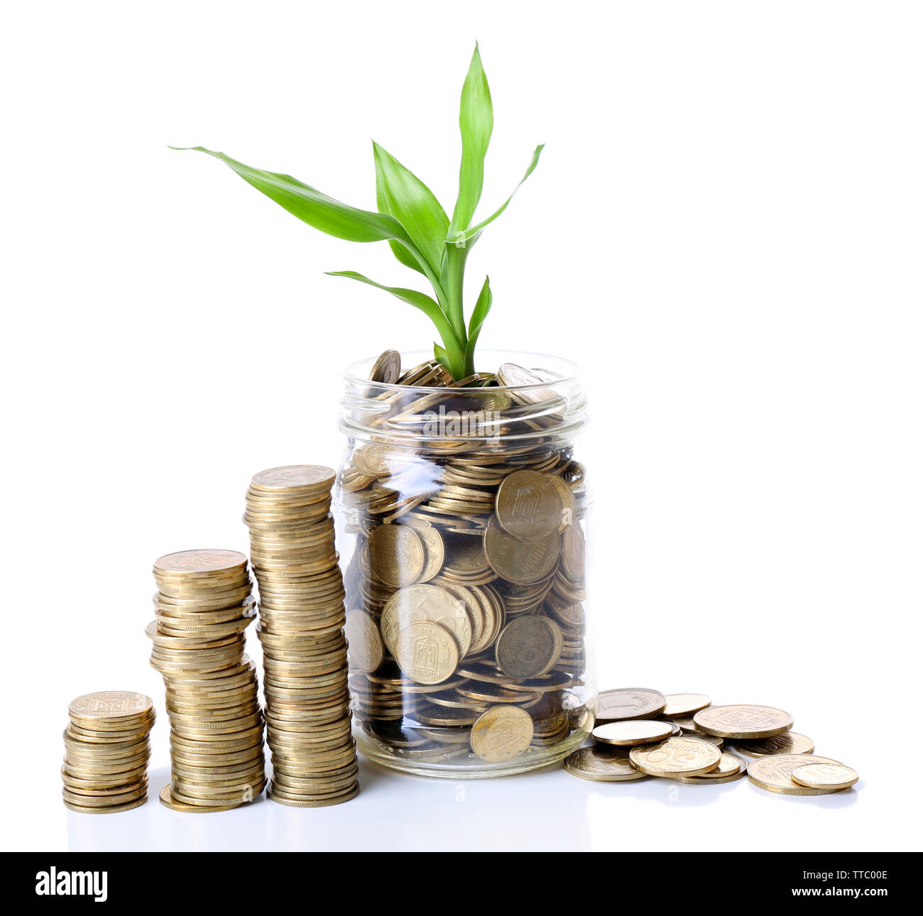 Plant growing in coins isolated on white Stock Photo - Alamy