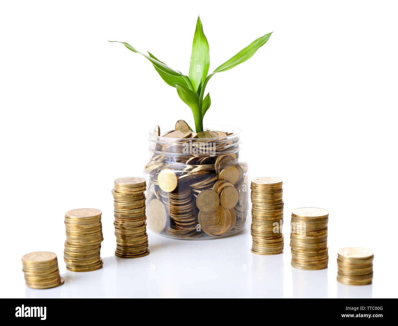 Plant growing in coins isolated on white Stock Photo - Alamy