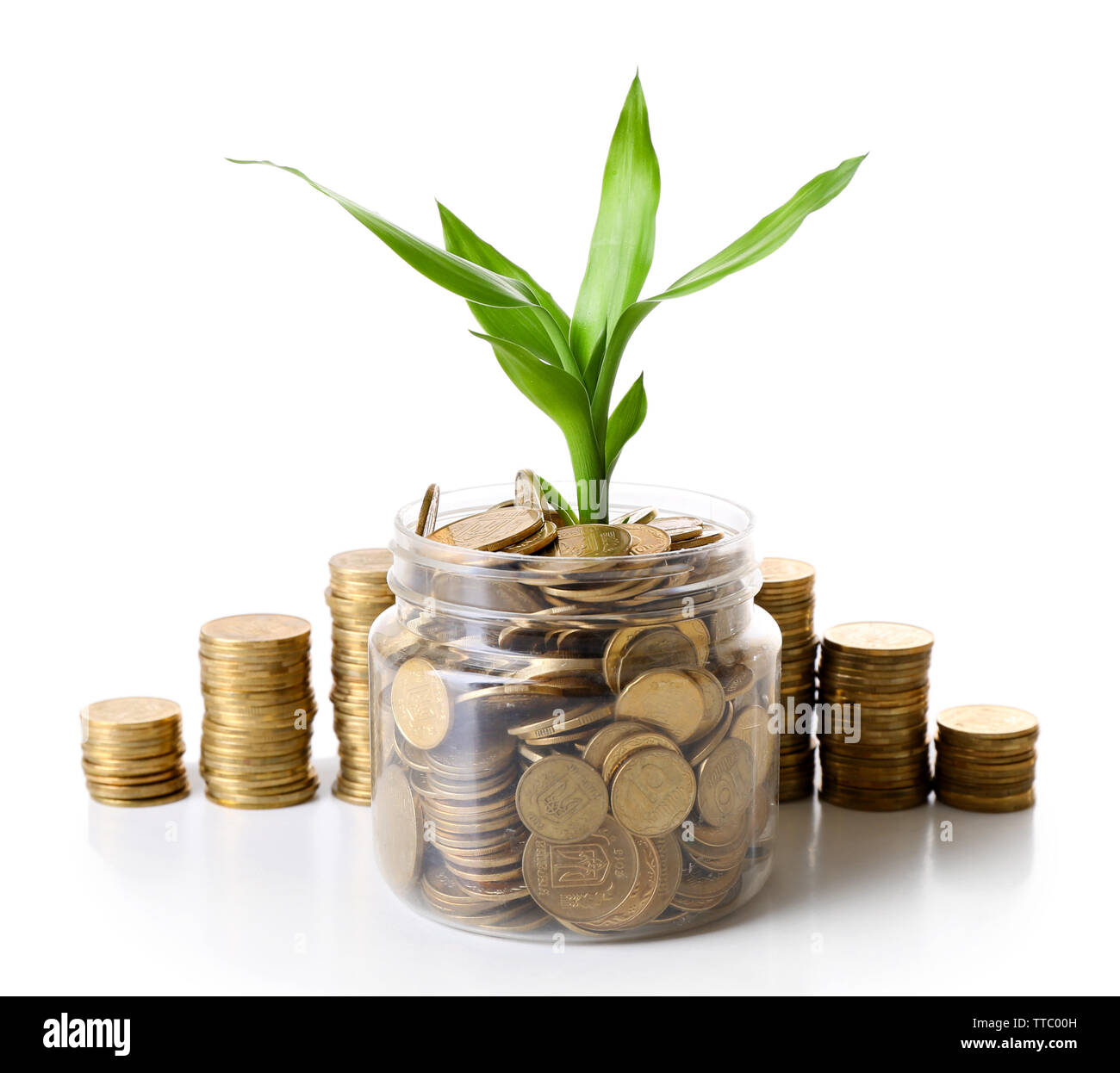 Plant growing in coins isolated on white Stock Photo - Alamy