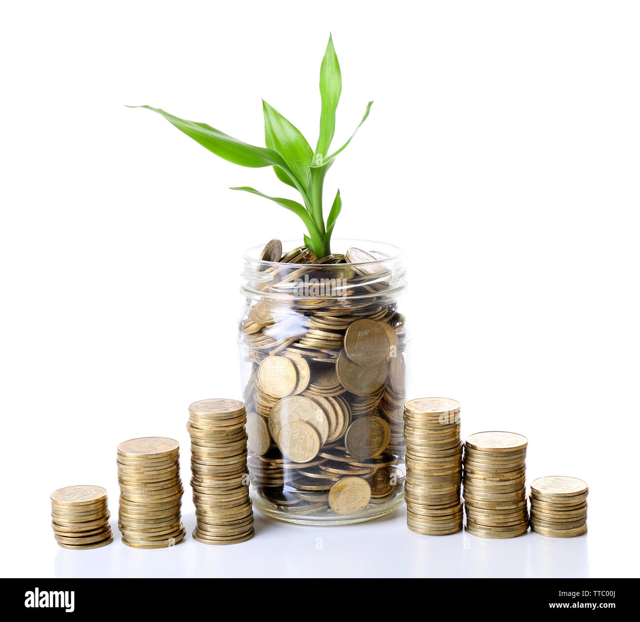 Plant growing in coins isolated on white Stock Photo - Alamy