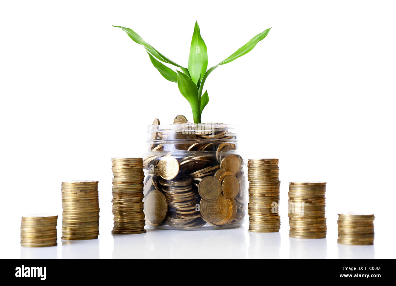 Plant growing in coins isolated on white Stock Photo - Alamy