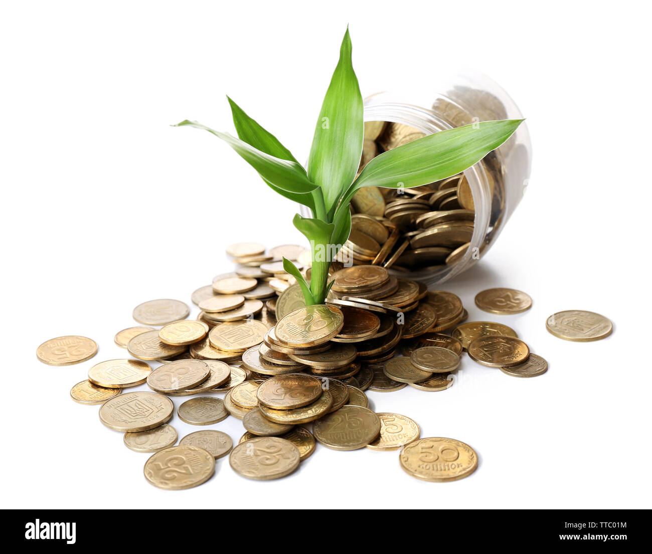 Plant growing in coins scattered from the bottle Stock Photo - Alamy