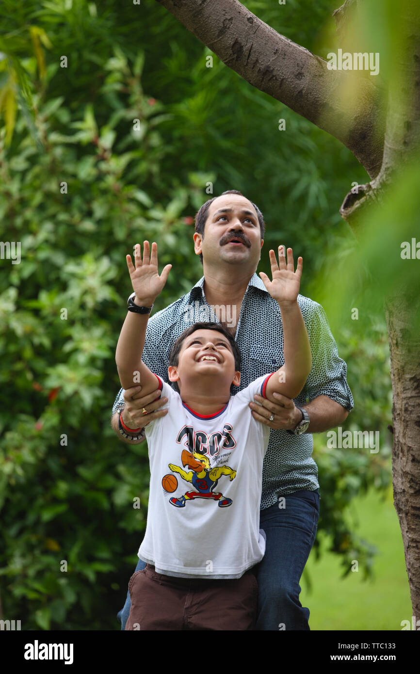 Man lifting his son up to a branch of a tree Stock Photo - Alamy
