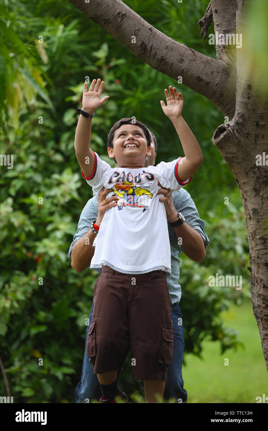 Man lifting his son up to a branch of a tree Stock Photo - Alamy