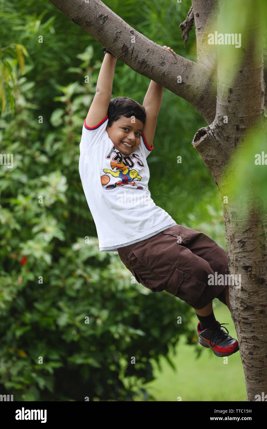 Boy hanging on a tree branch and smiling Stock Photo - Alamy