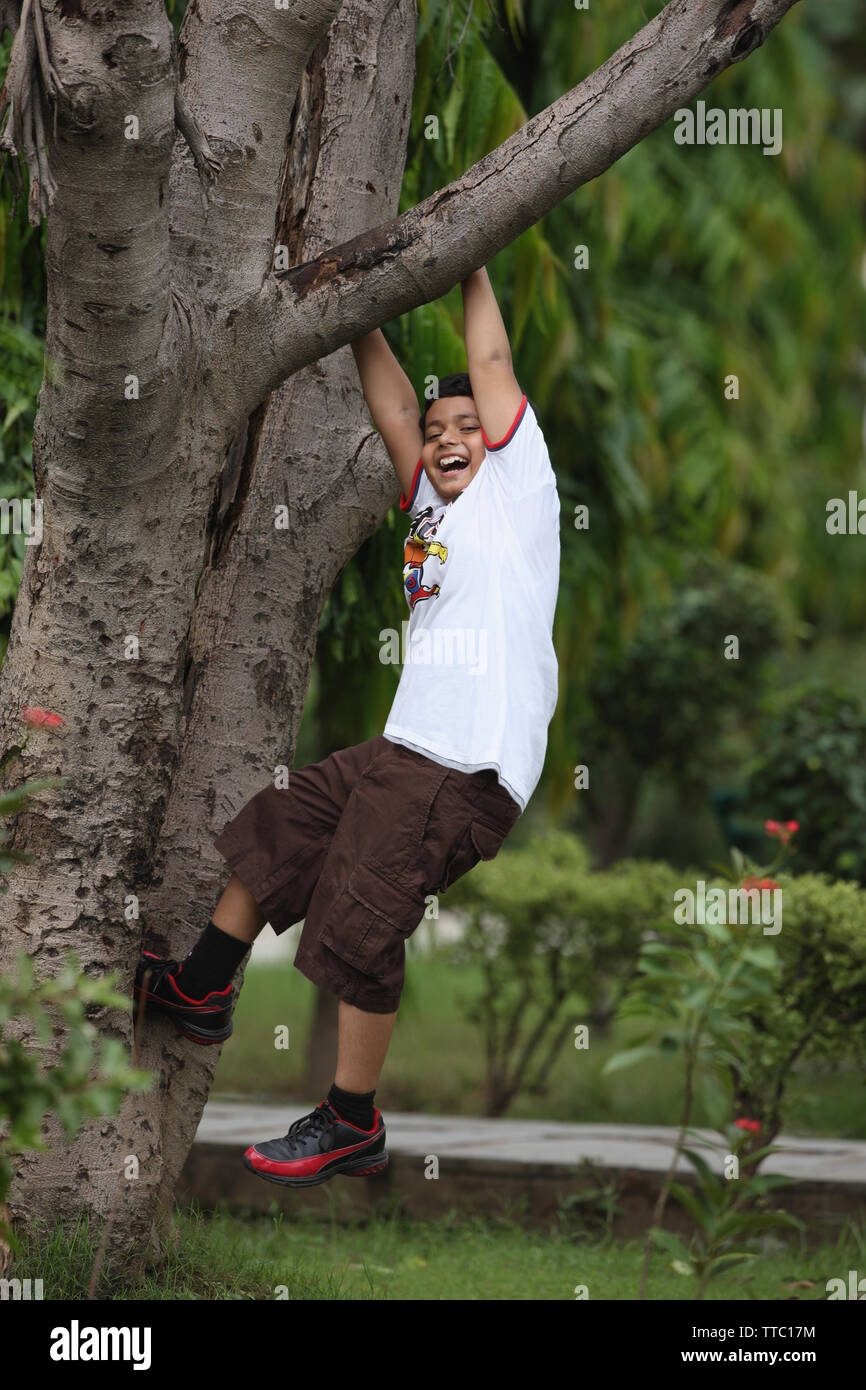 Boy hanging on a tree branch and smiling Stock Photo - Alamy