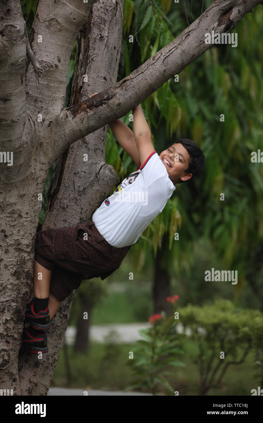 Boy hanging on a tree branch and smiling Stock Photo - Alamy