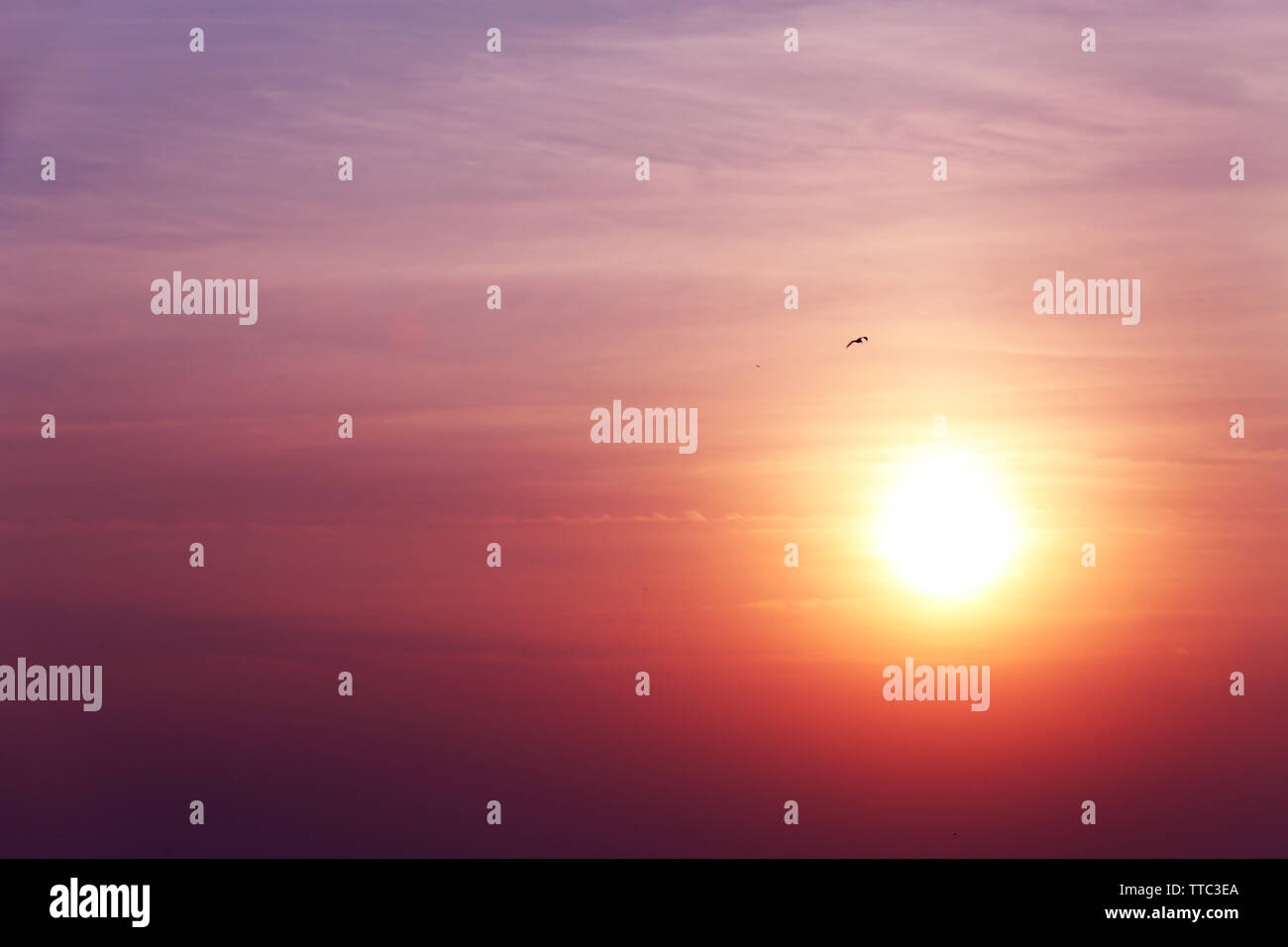 Beautiful sunset over calm water Stock Photo - Alamy