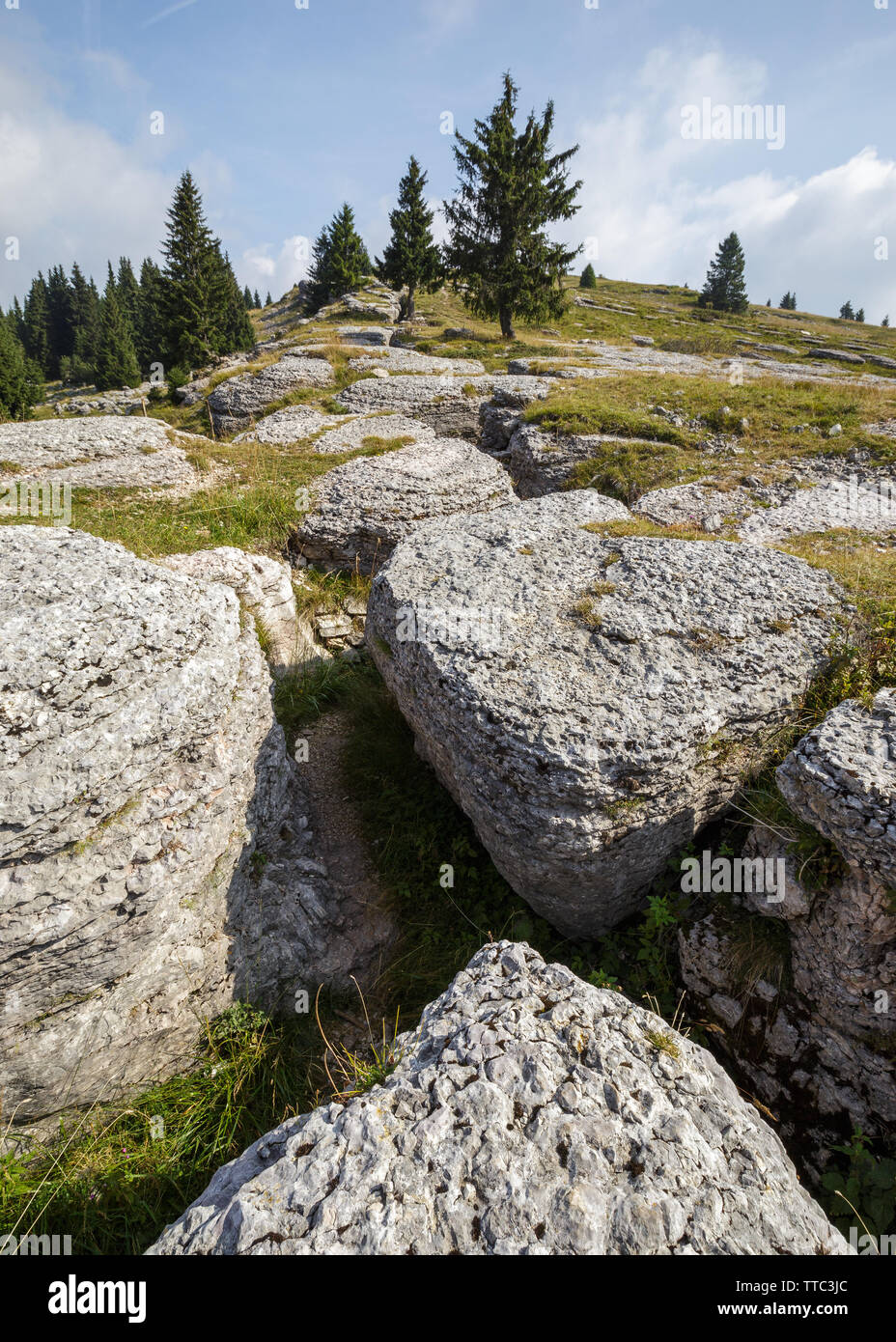 Monte Castelgomberto, Asiago mountain plateau, rock formations. First ...