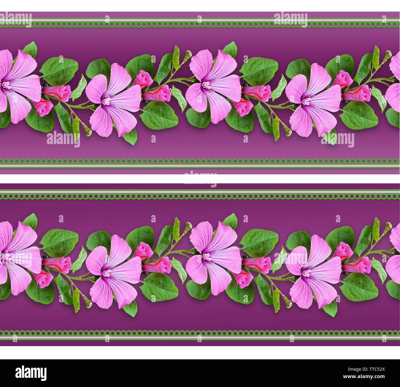 Seamless floral border grass Cut Out Stock Images & Pictures - Alamy